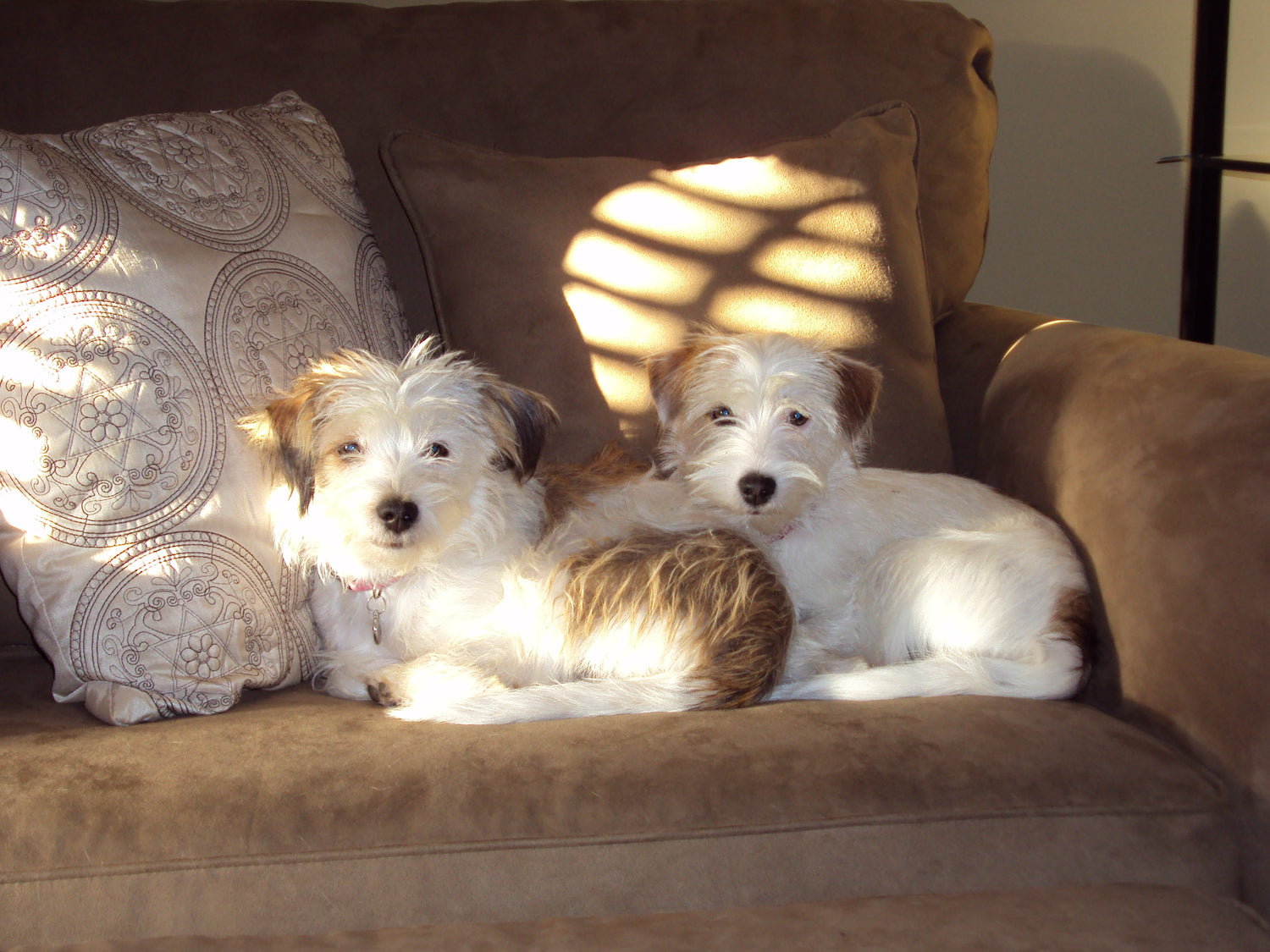 Ruby and Rosie